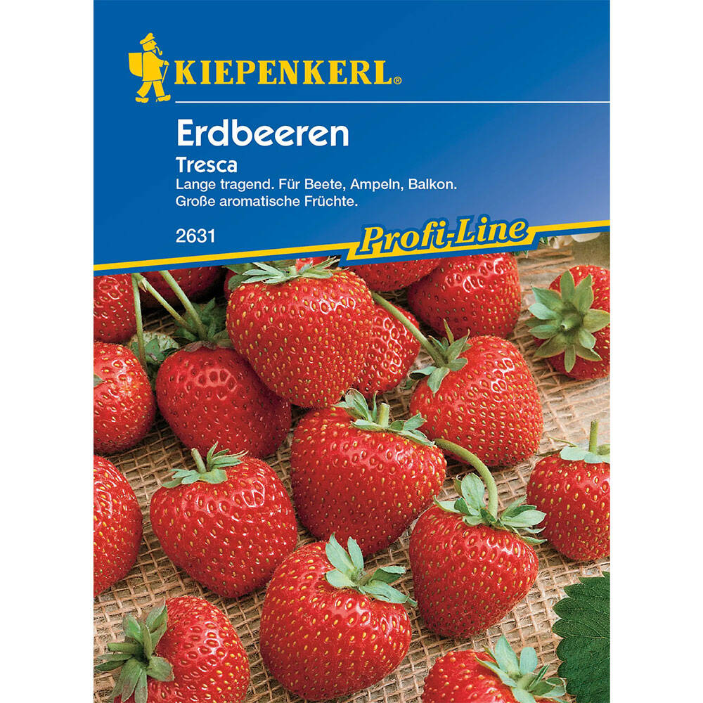 Erdbeere Tresca online bestellen und liefern lassen, 4,49